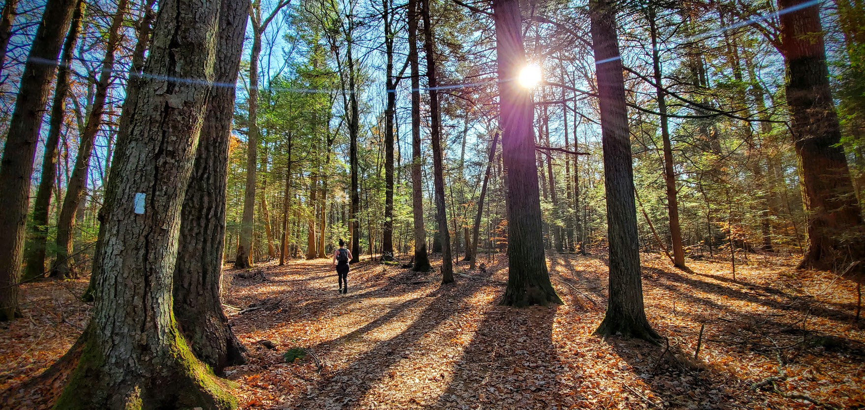 Mattatuck Trail Guide - The Air Land and Sea Website