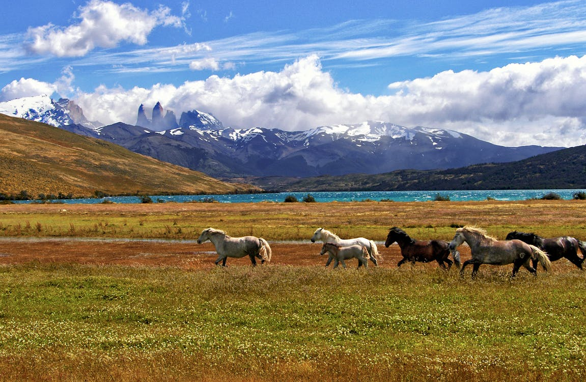 The Chilliest Travel Destinations You Wouldn’t Miss For The World - The ...